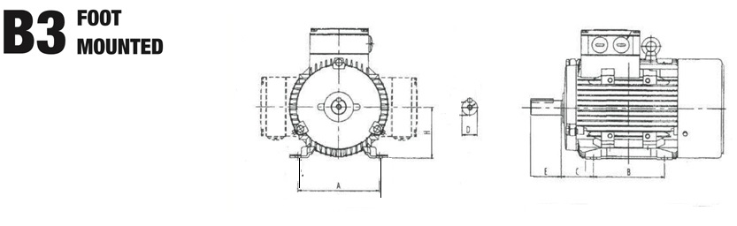 CMG 75kw 4 Pole PPA 250M 70-4 B3 Foot Mounted Cast Iron Three Phase ...